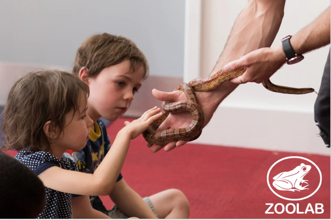 Animal Encounters - Animal Explorer - Floors Castle